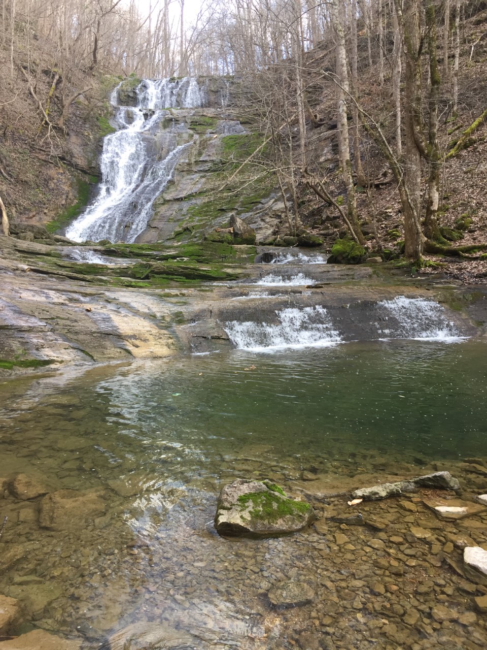 More oral arguments – From the Bench