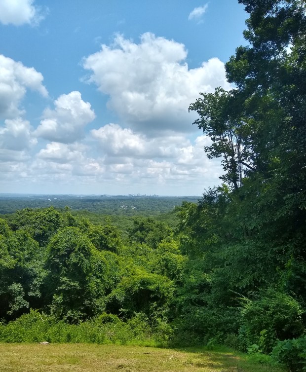 Appeals Board Issues Key Evidence Opinions Regarding Medical Records ...