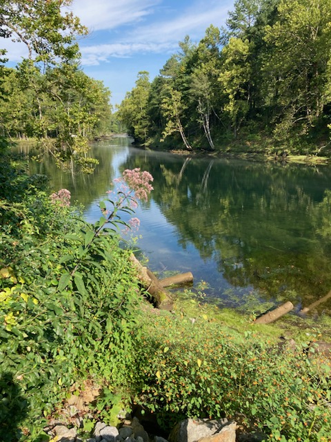 Oral Arguments Announced for October – From the Bench