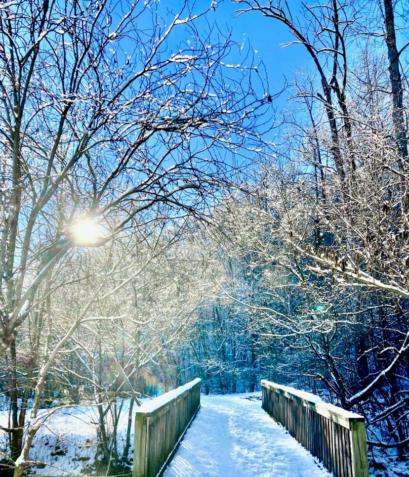 Revised Memphis Settlement Schedule – From the Bench